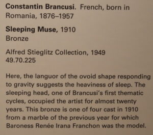 Artindex » Brancusi Constantin